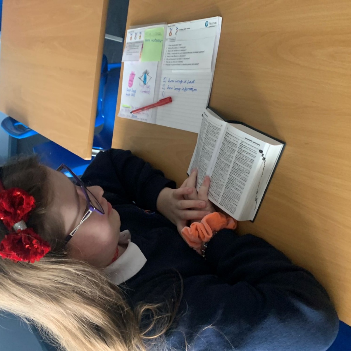 Trinity Academy New Bridge - Dictionary Skills