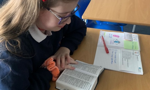 Trinity Academy New Bridge - Dictionary Skills