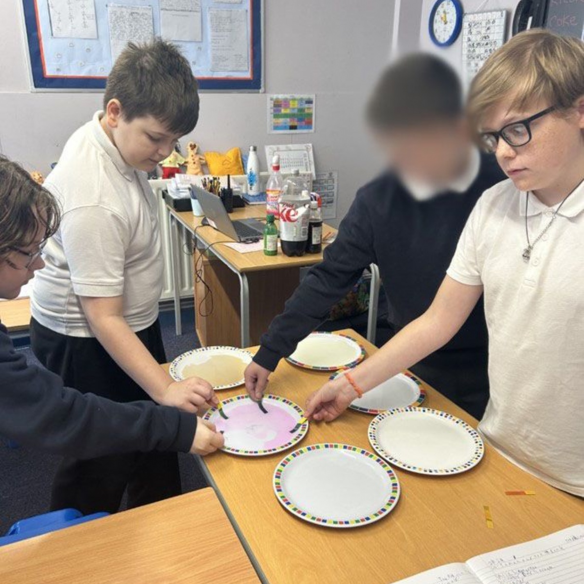 Trinity Academy New Bridge - Science - PH Scale